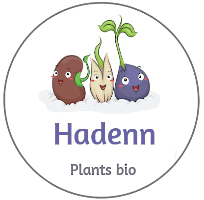 Mentions légales - Hadenn